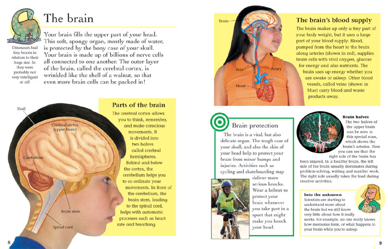 My Healthy Body - Brain and Senses